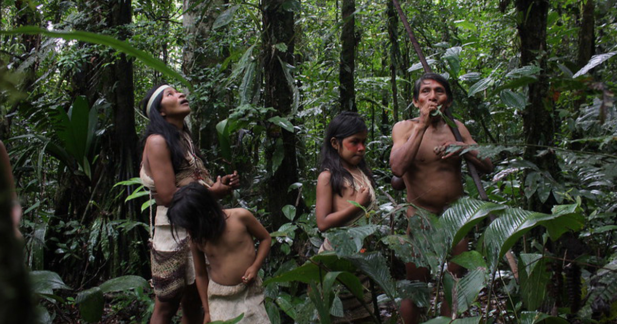 Inside The Hidden World Of Ecuador’s Last Uncontacted Tribe